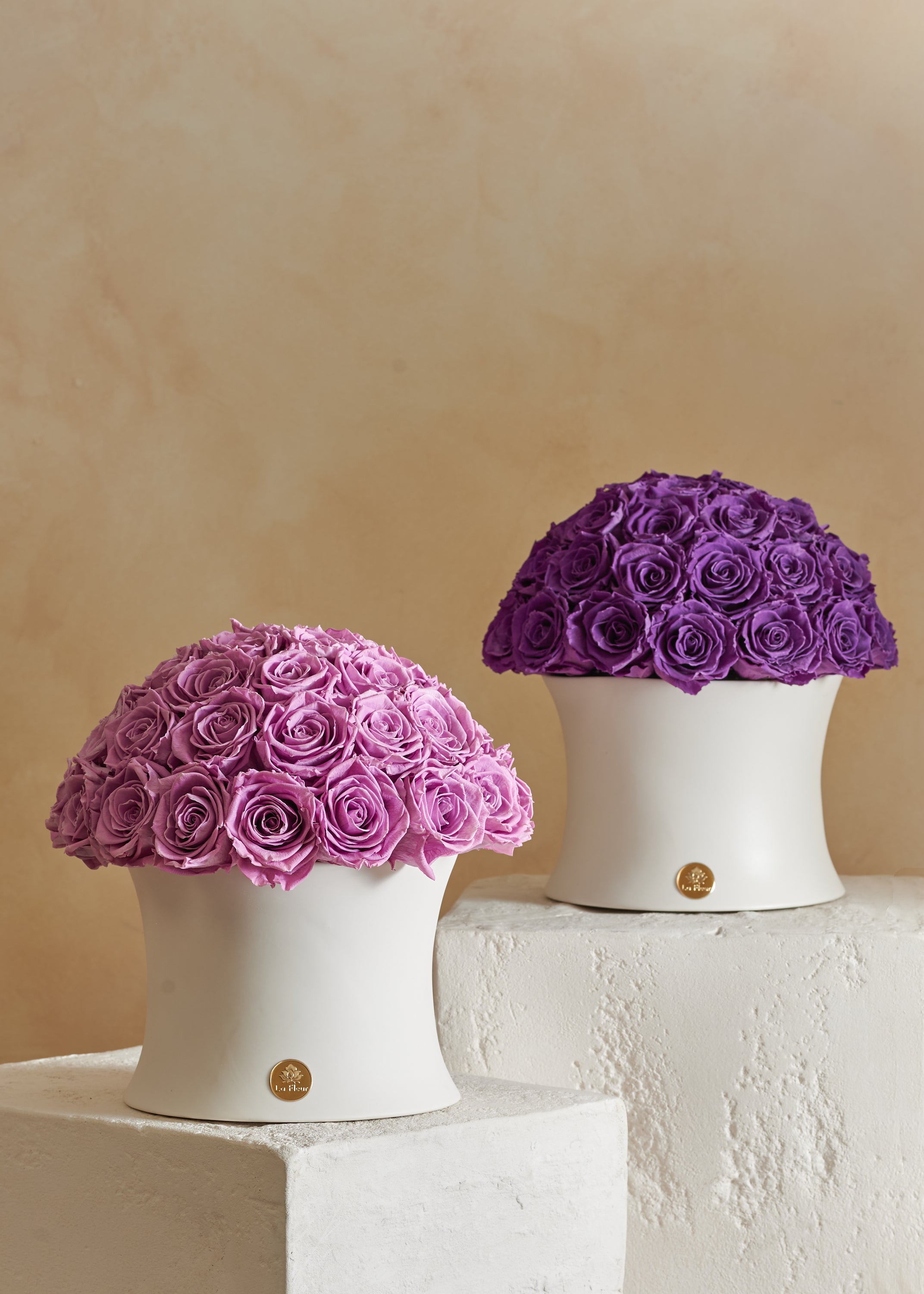 LF202444131.jpg?v=1724877011